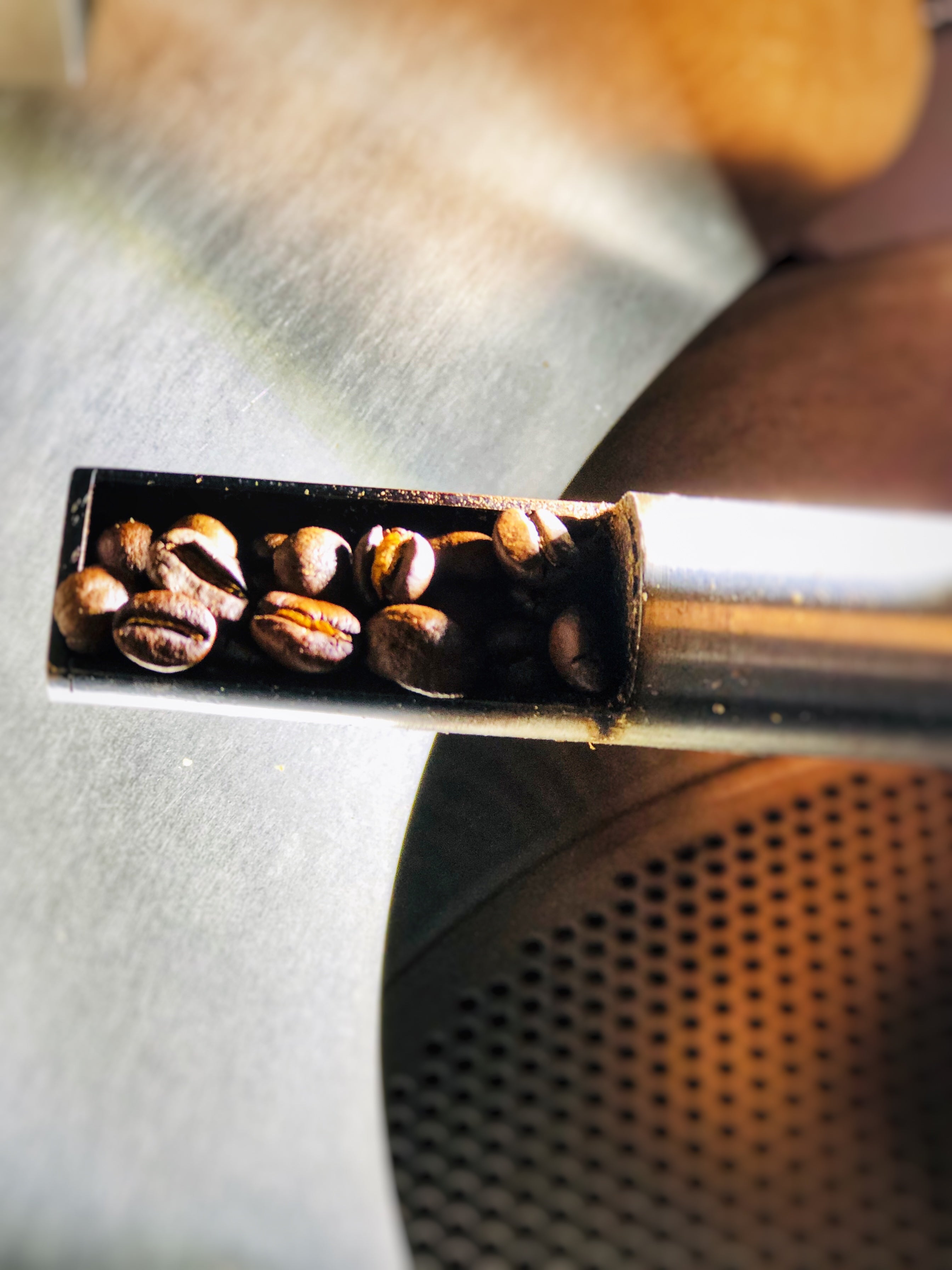 The True Taste Of Single Origin Coffee – Hill Tree Roastery LLC